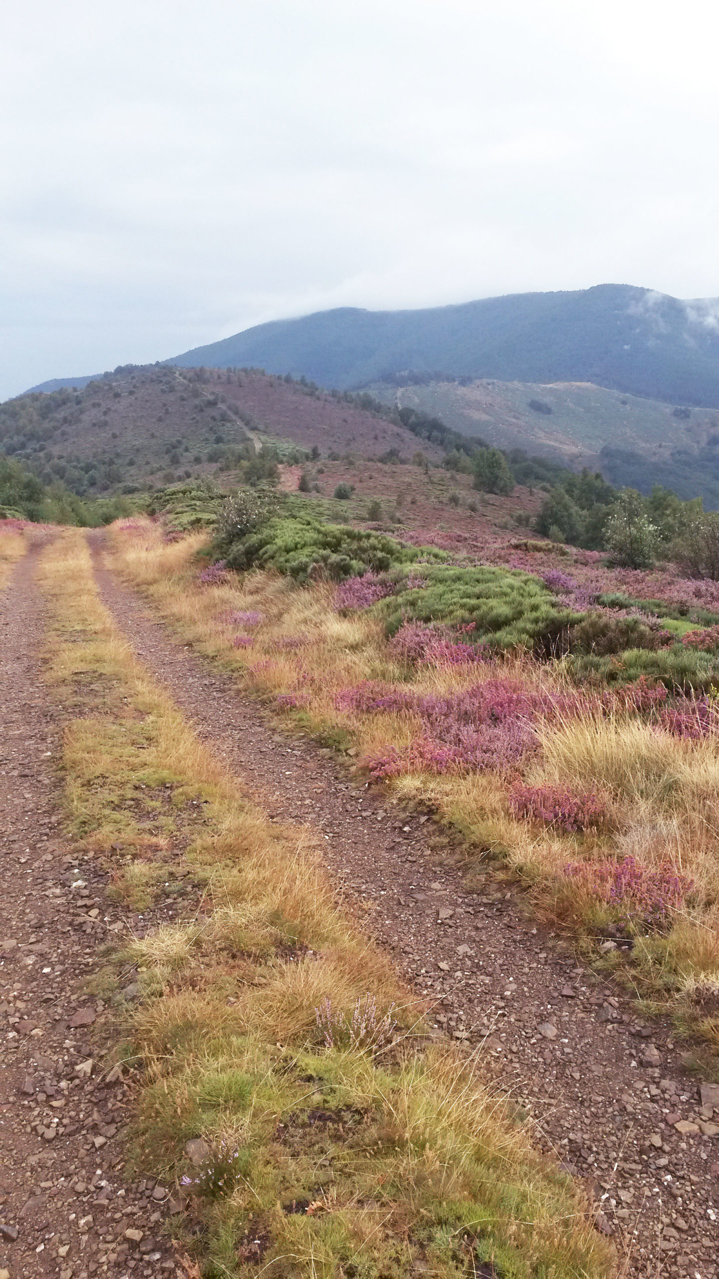 ligne-de-crete-Truc-Plumat - Racines de Terriens